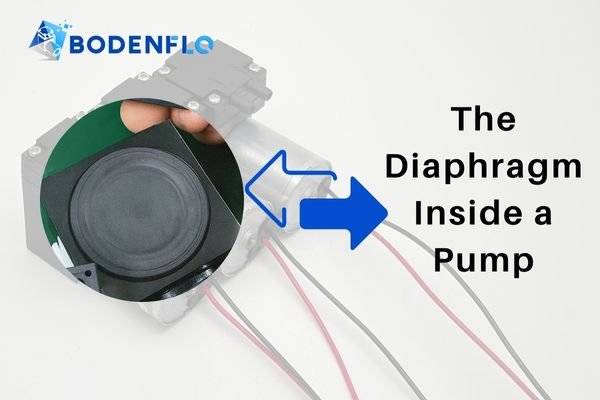 What Is a Membrane Pump? Working Principle & Applications